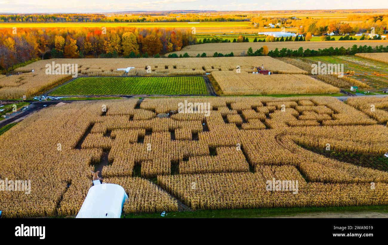 Corn maze aerial hi-res stock photography and images - Alamy