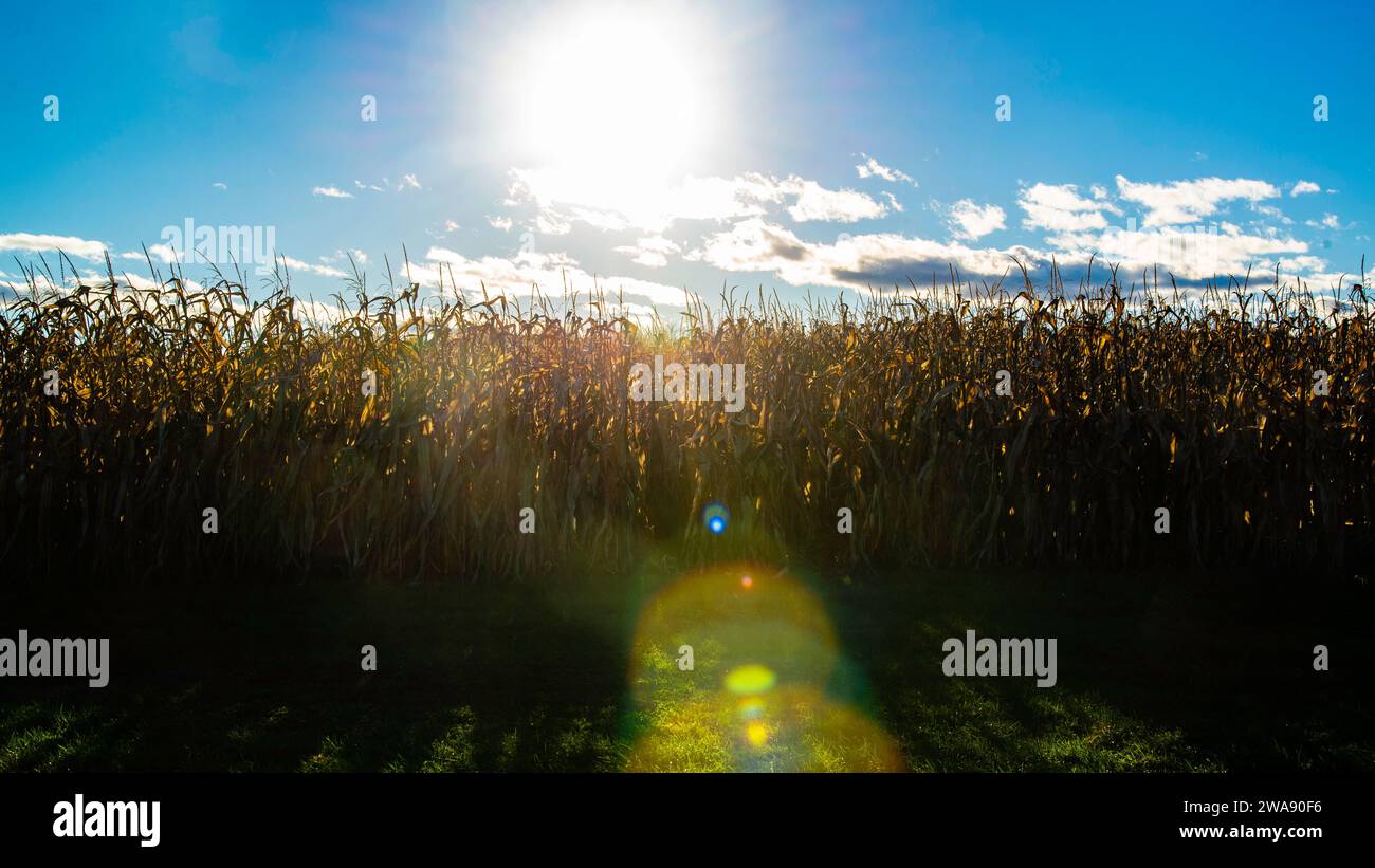 Rural people quebec hi-res stock photography and images - Alamy