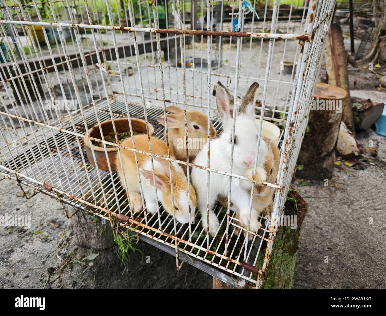 Lovely young couple sit in hi-res stock photography and images - Alamy