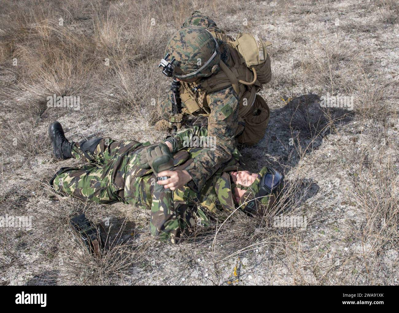 US military forces. 180312PC620-0429 CAPU MIDIA TRAINING AREA, Romania ...