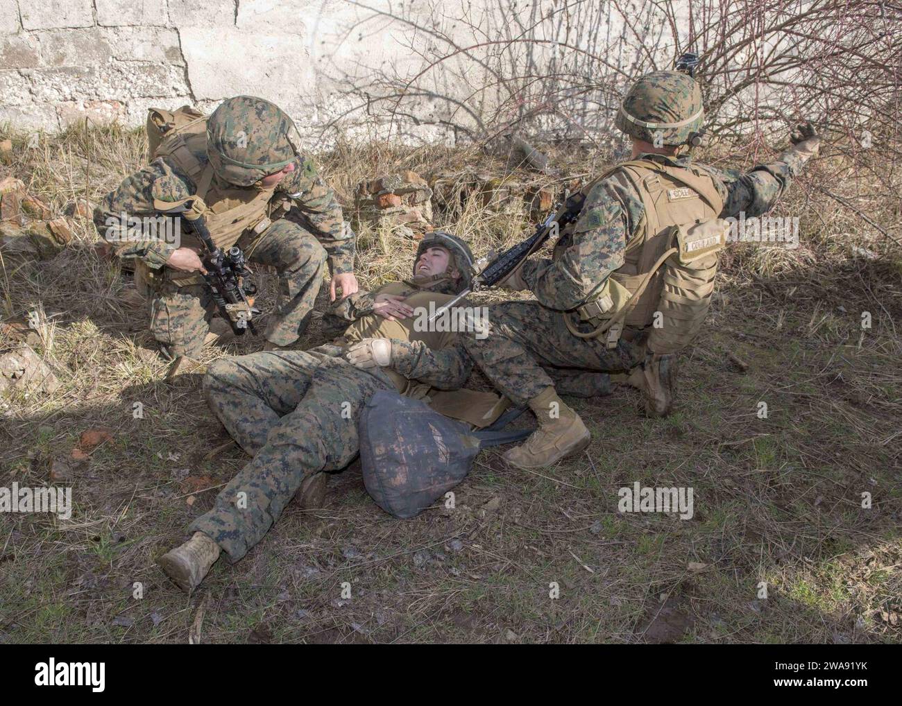 US military forces. 180312PC620-0673 CAPU MIDIA TRAINING AREA, Romania ...