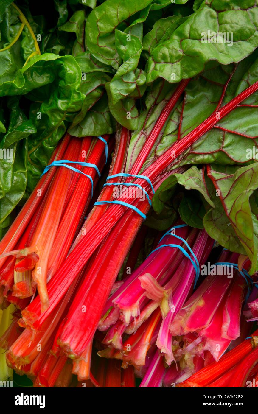 Chard farm hi-res stock photography and images - Alamy