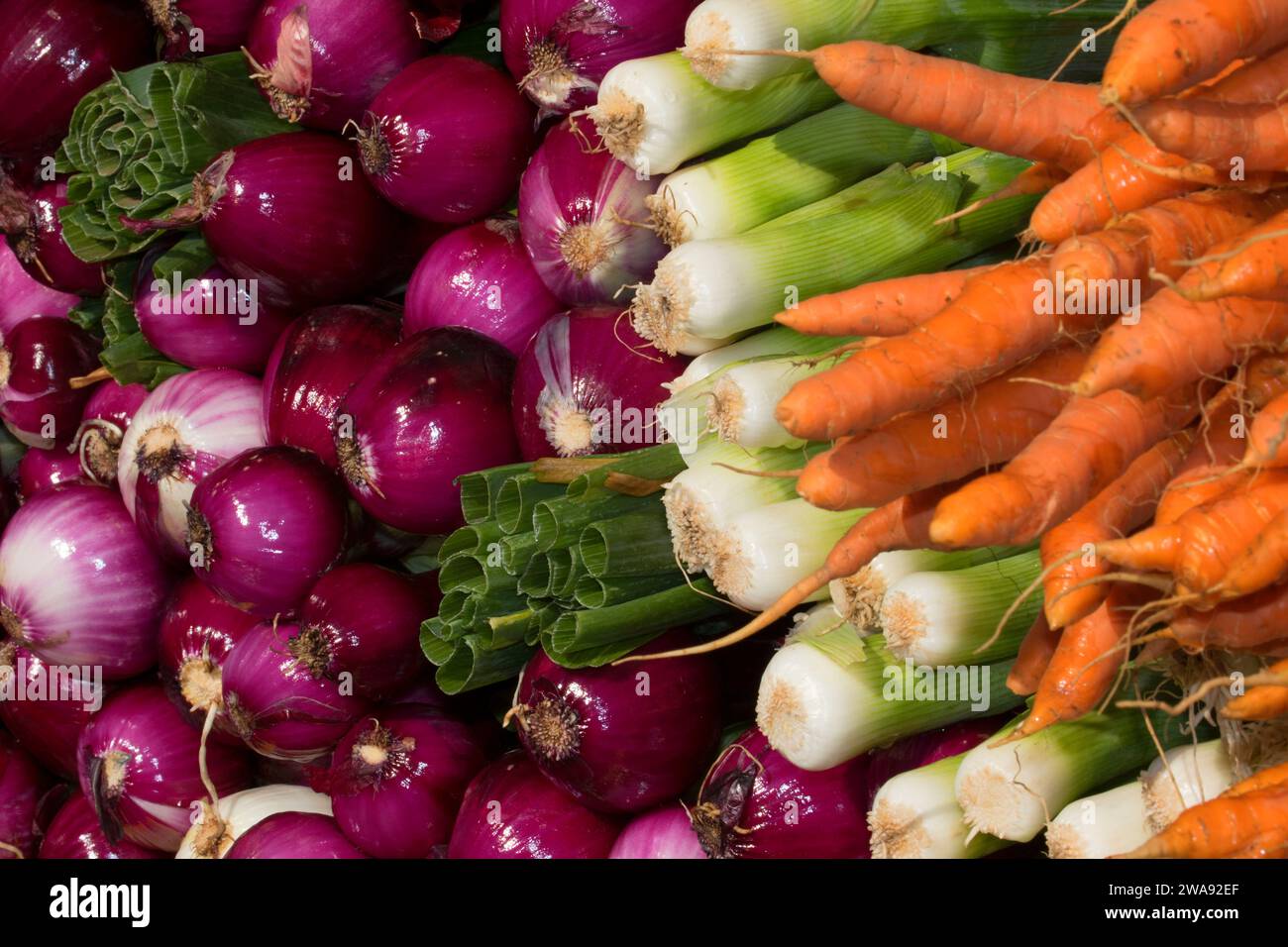 Purple onions with leeks and carrots Stock Photo - Alamy