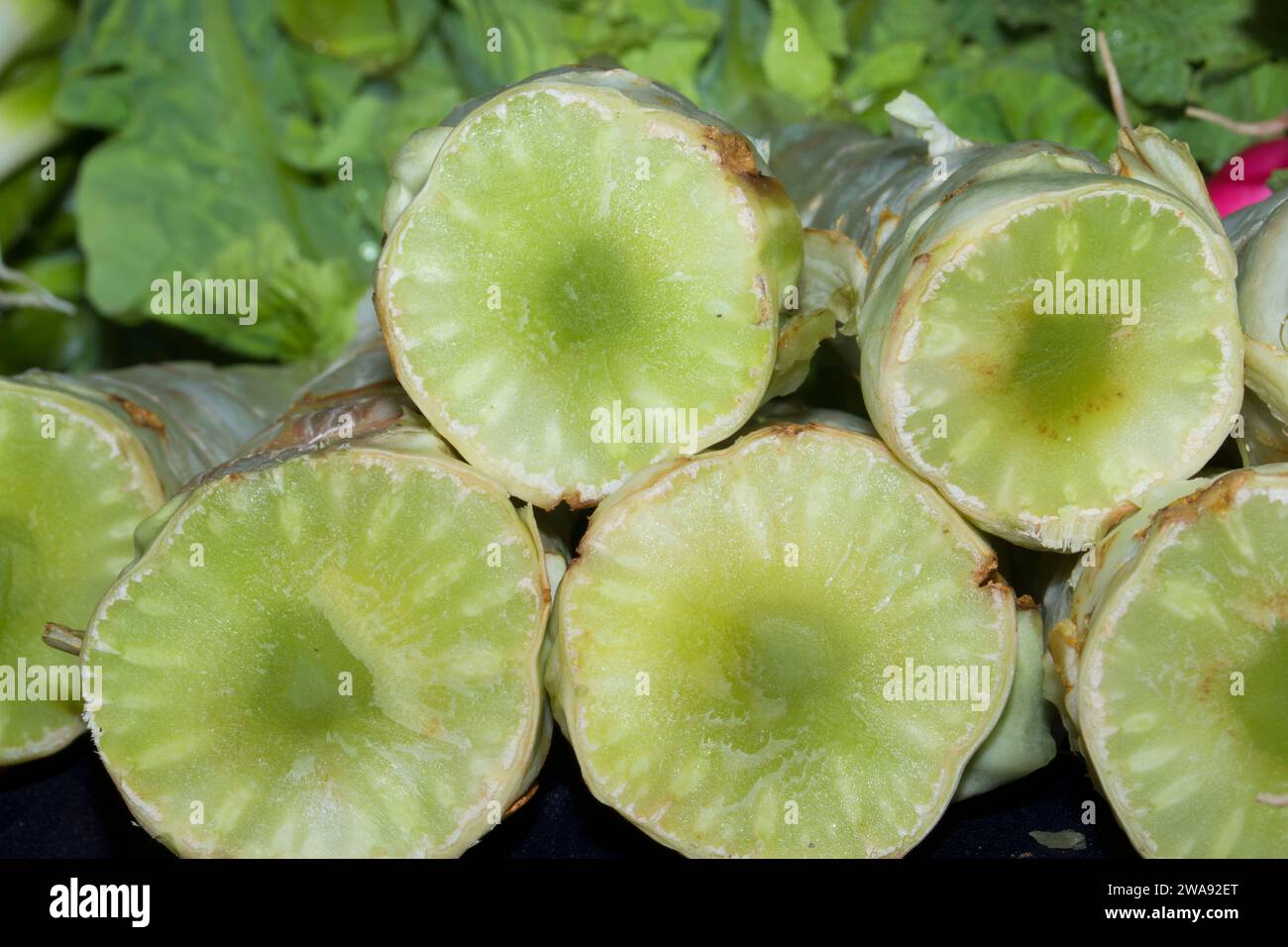 Celtuce hi-res stock photography and images - Alamy