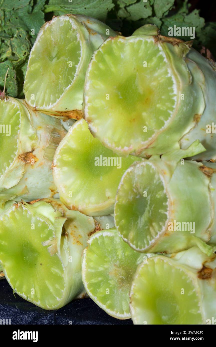 Celtuce hi-res stock photography and images - Alamy