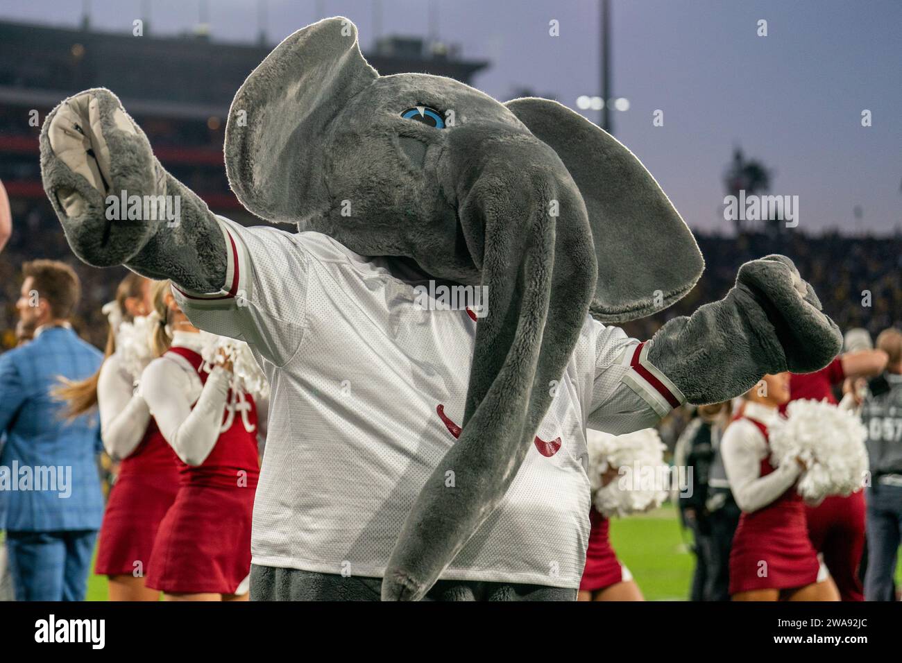 Big al mascot hi-res stock photography and images - Alamy