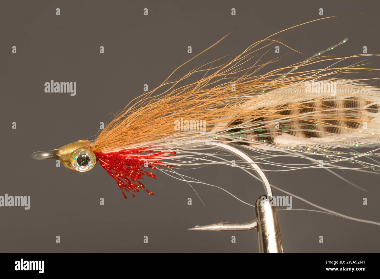 Steelhead streamer fishing fly Stock Photo - Alamy