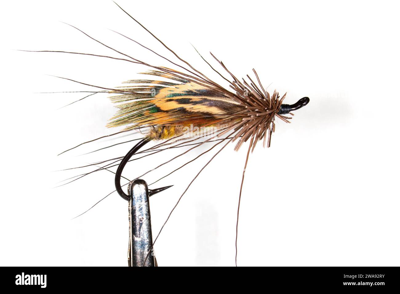 Thompson fly Cut Out Stock Images & Pictures - Alamy