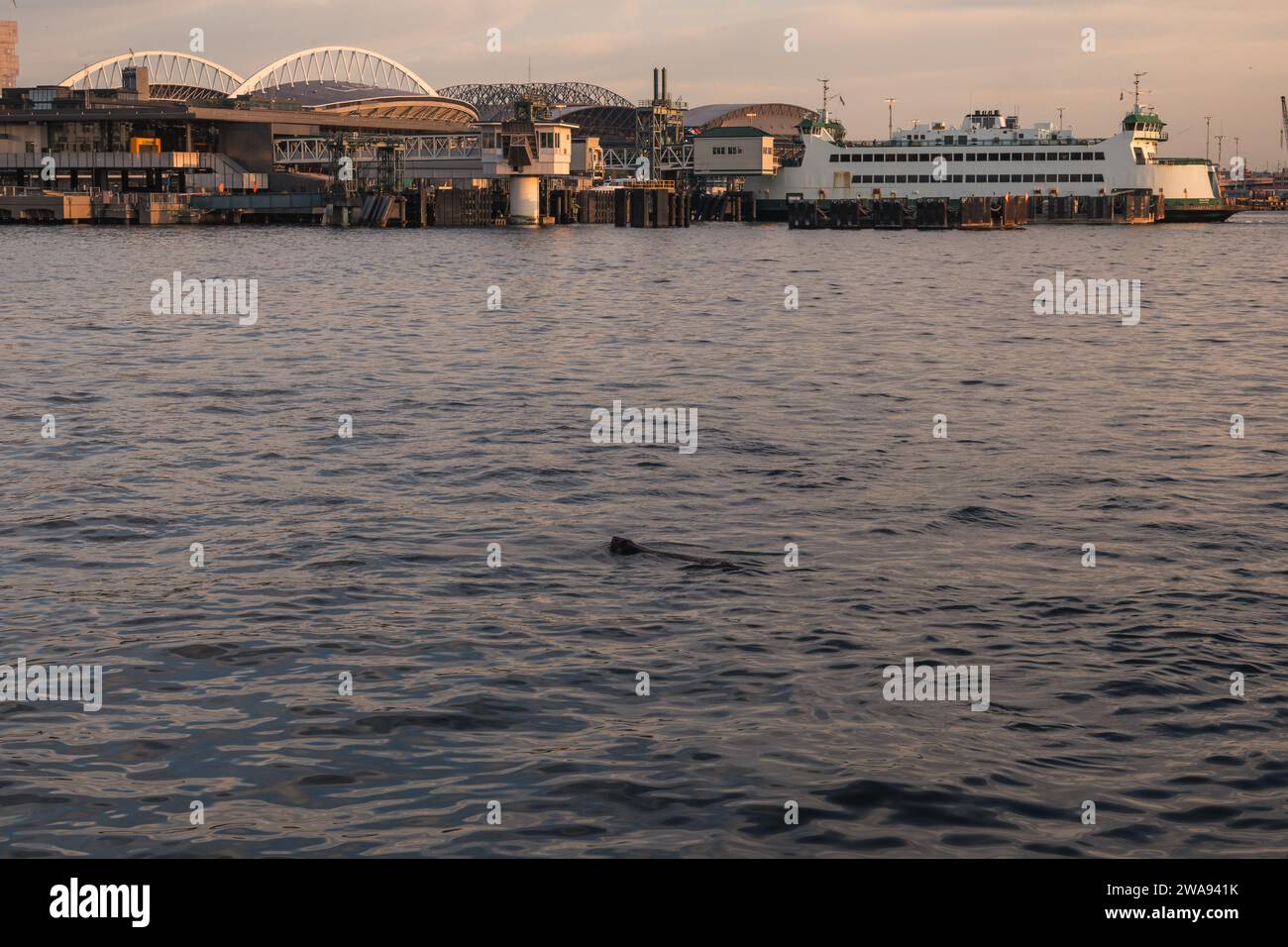 Seattle, USA. 18th sep, 2023. Pier 62 sunset over Elliott Bay with ...
