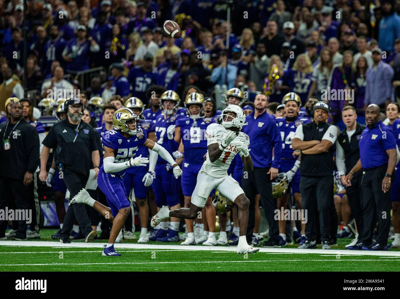 2023 org 0797 jp hi-res stock photography and images - Alamy