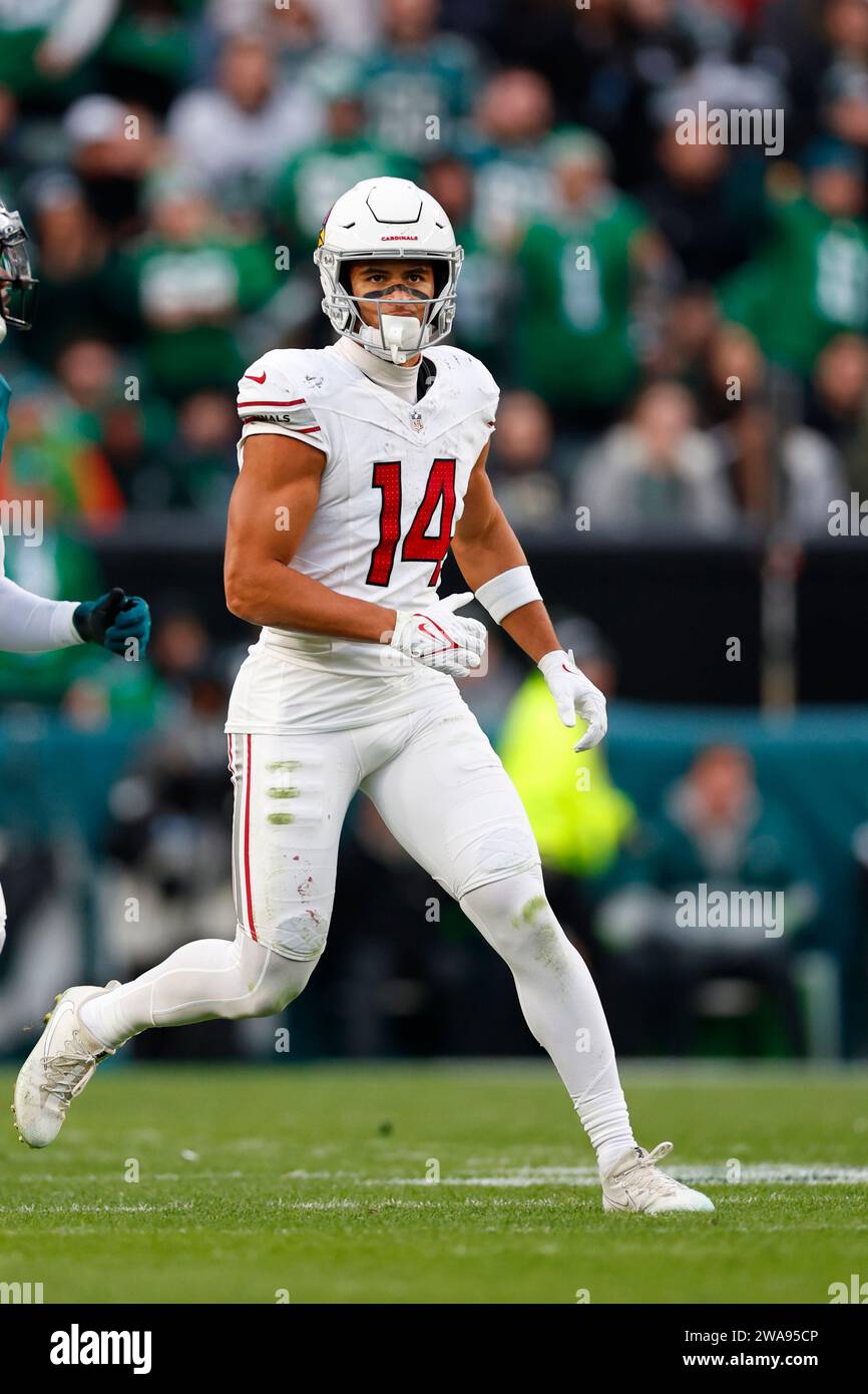 Arizona Cardinals wide receiver Greg Dortch (83) in action against the ...