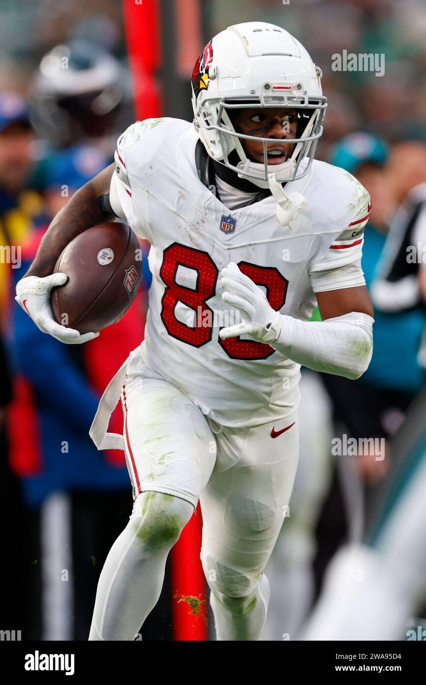Arizona Cardinals wide receiver Greg Dortch (83) in action against the ...