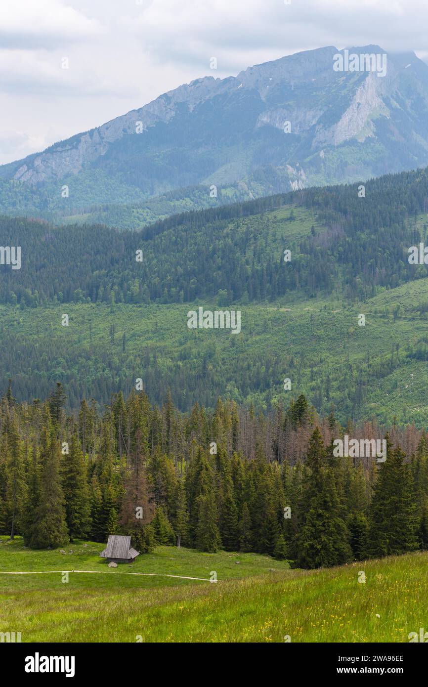 Tatra Mountains in summer. Tatra National Park. Tatra Mountains, Poland ...