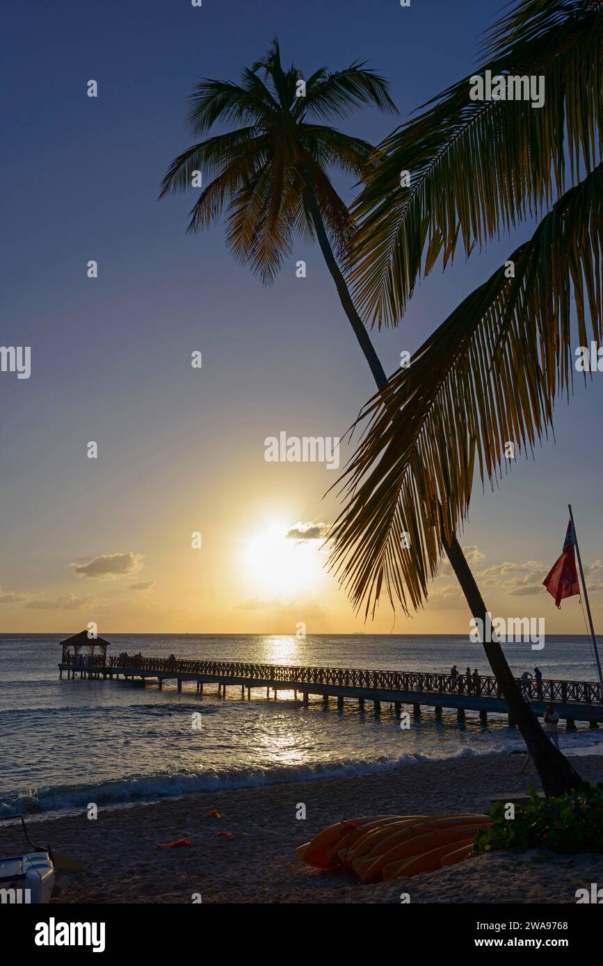 Evening sky with a sun reflected in the water, dominated by a palm tree ...