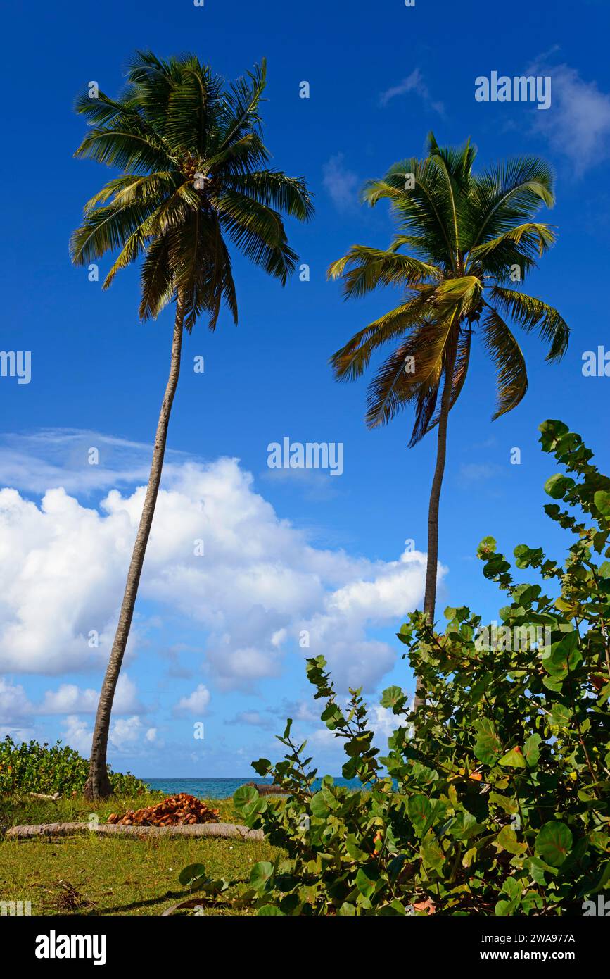 Island of hispaniola a hi-res stock photography and images - Alamy