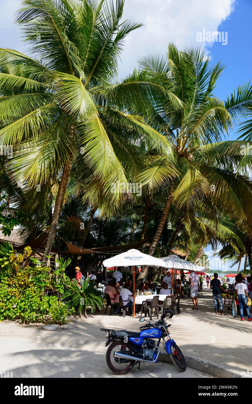 A group of people relaxing in a restaurant under palm trees, beach ...