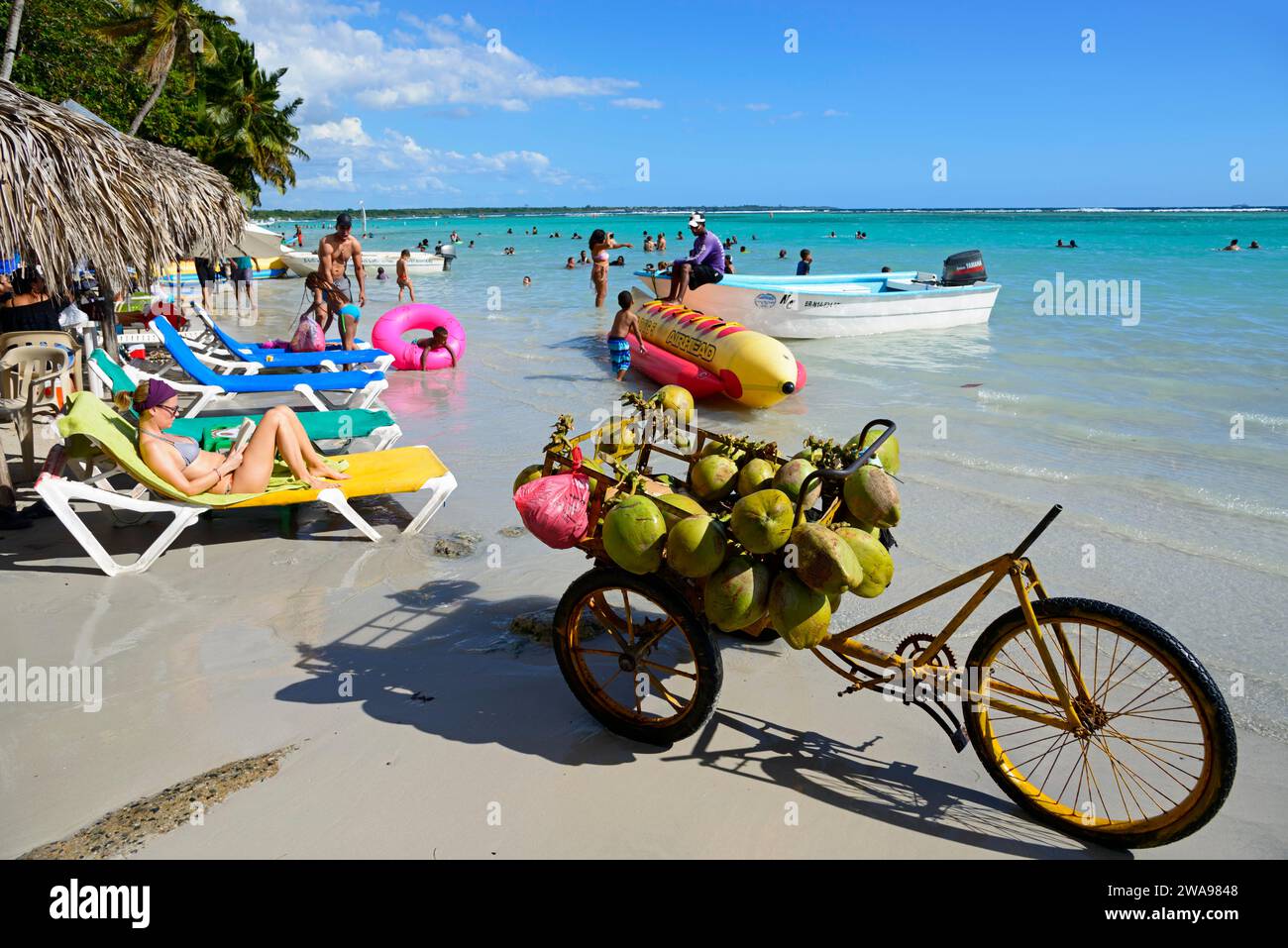 Caribbean beach with clear water, coconut sales and tourists sunbathing ...