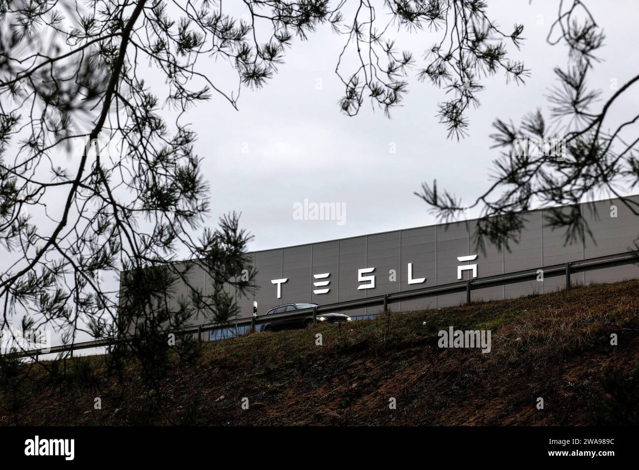 Tesla Giga Factory, view of the battery factory, Grünheide, 28/01/2023 ...