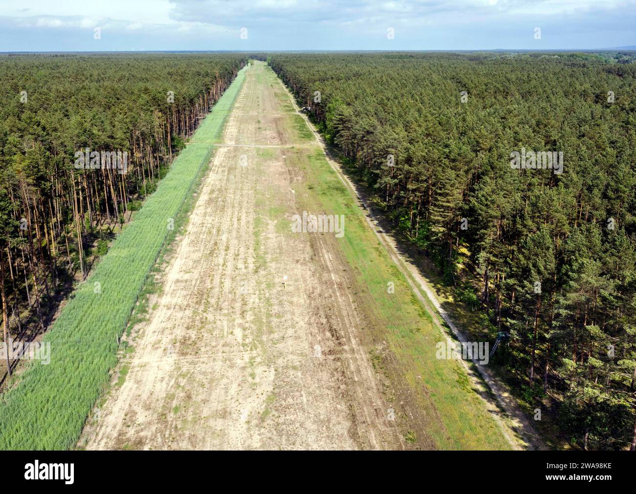A path in the forest shows the route of the EUGAL pipeline. Hydrogen ...