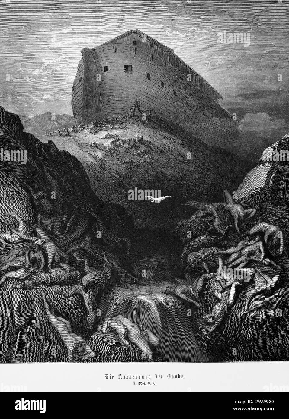 Bible, sending of the dove, Genesis 8, Moses, Old Testament, death ...