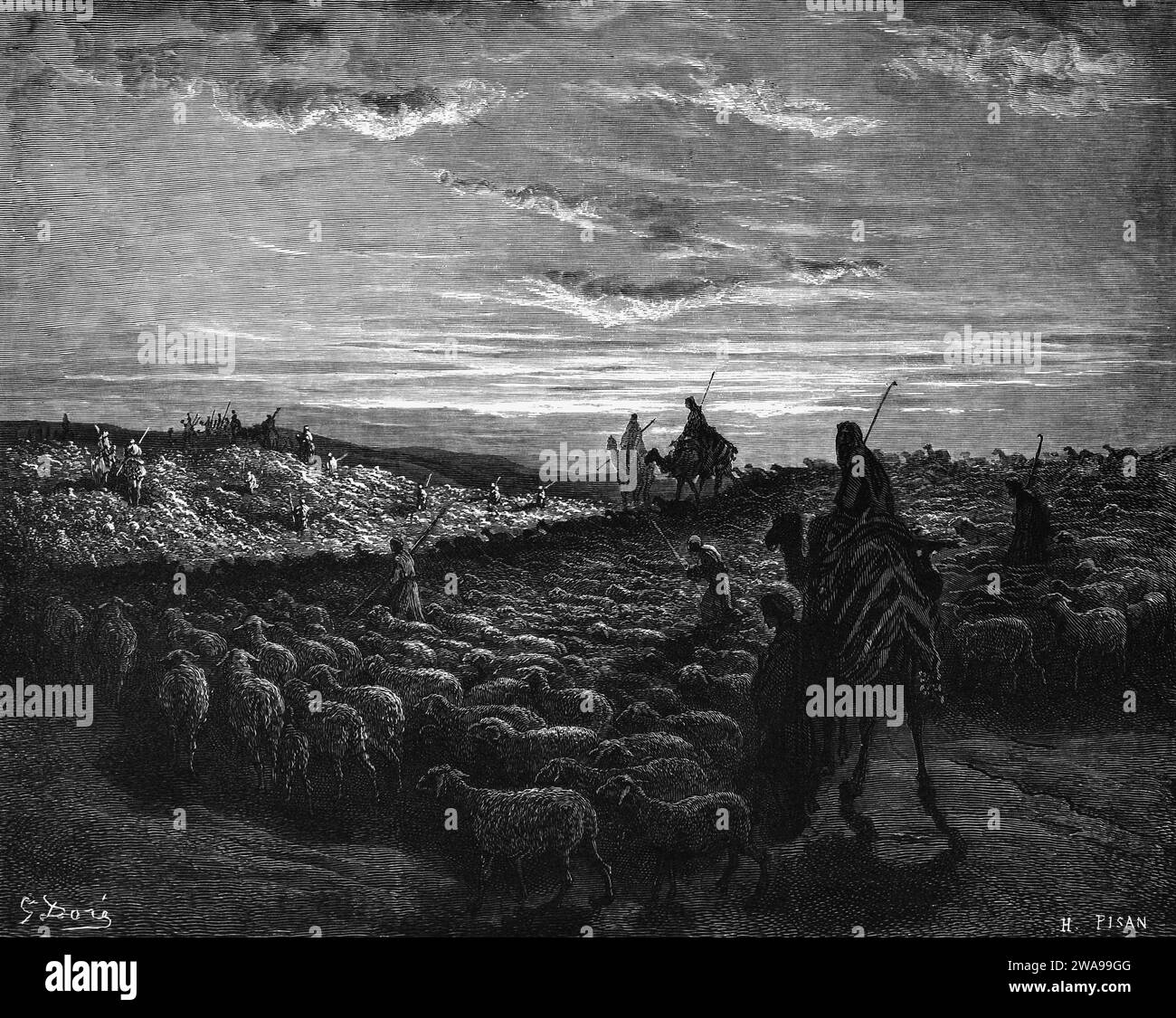 Bible, Abraham goes to Canaan, 1st book of Moses, herd of sheep, camels ...