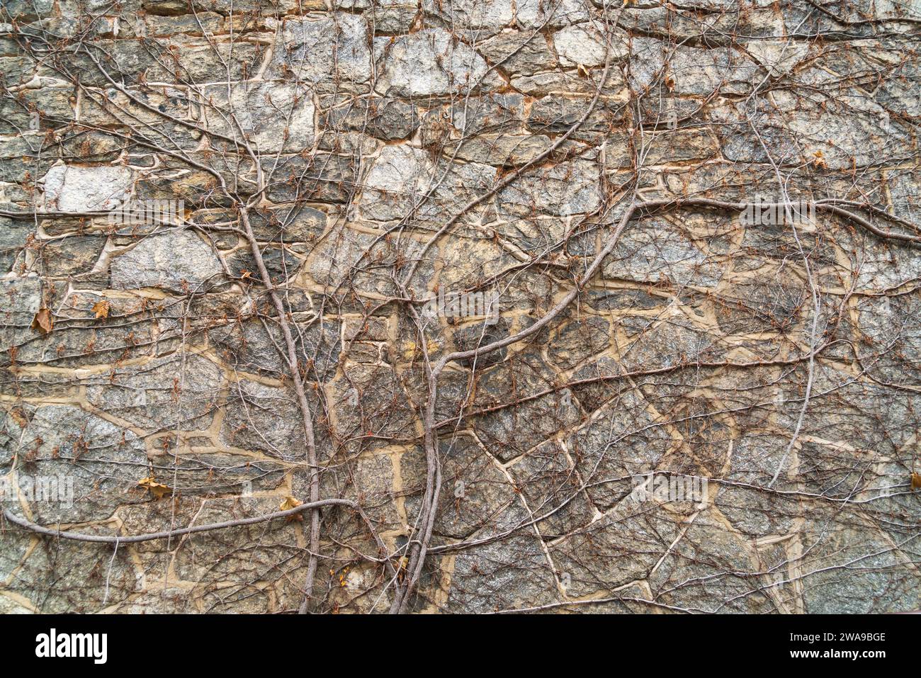 Texture of the wall at Eastern State Penitentiary, Prison in ...