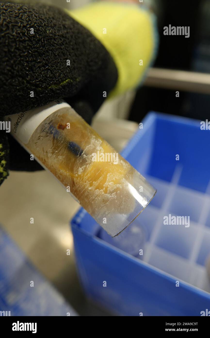 Human feces hi-res stock photography and images - Alamy