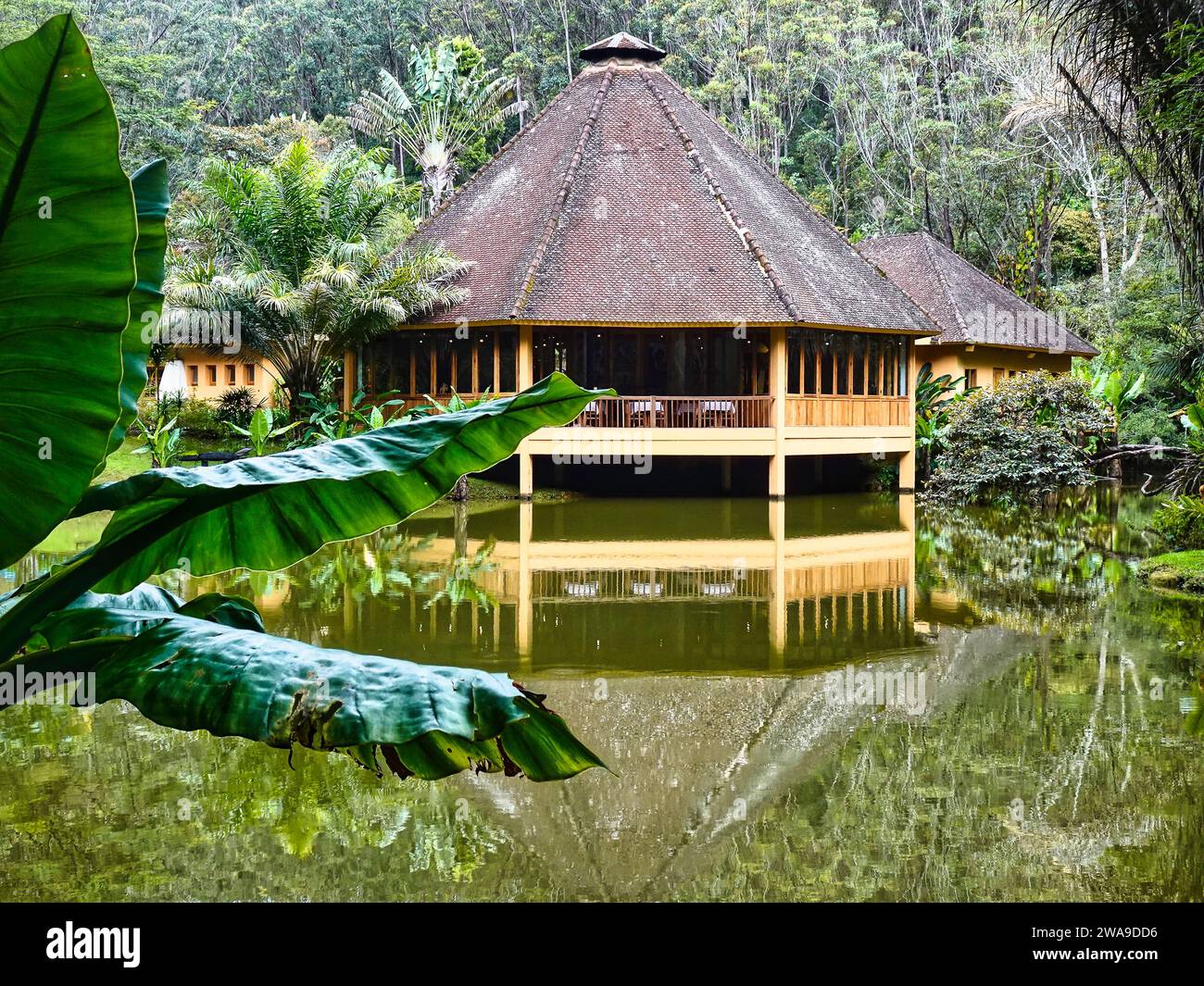 Vakona Forest Lodge has an octagonal reception/dining area with a ...