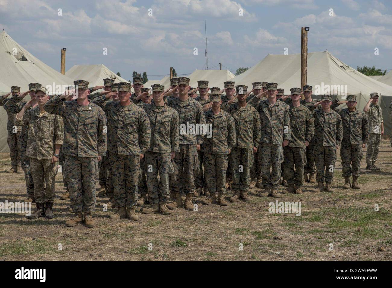 US military forces Stock Photo - Alamy