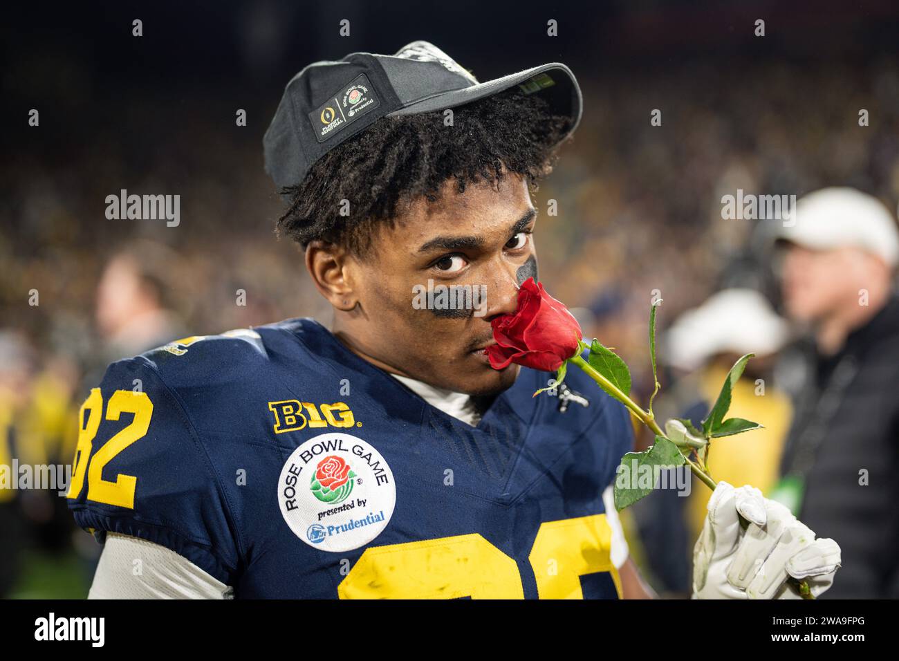 Rose cri cri hi-res stock photography and images - Alamy