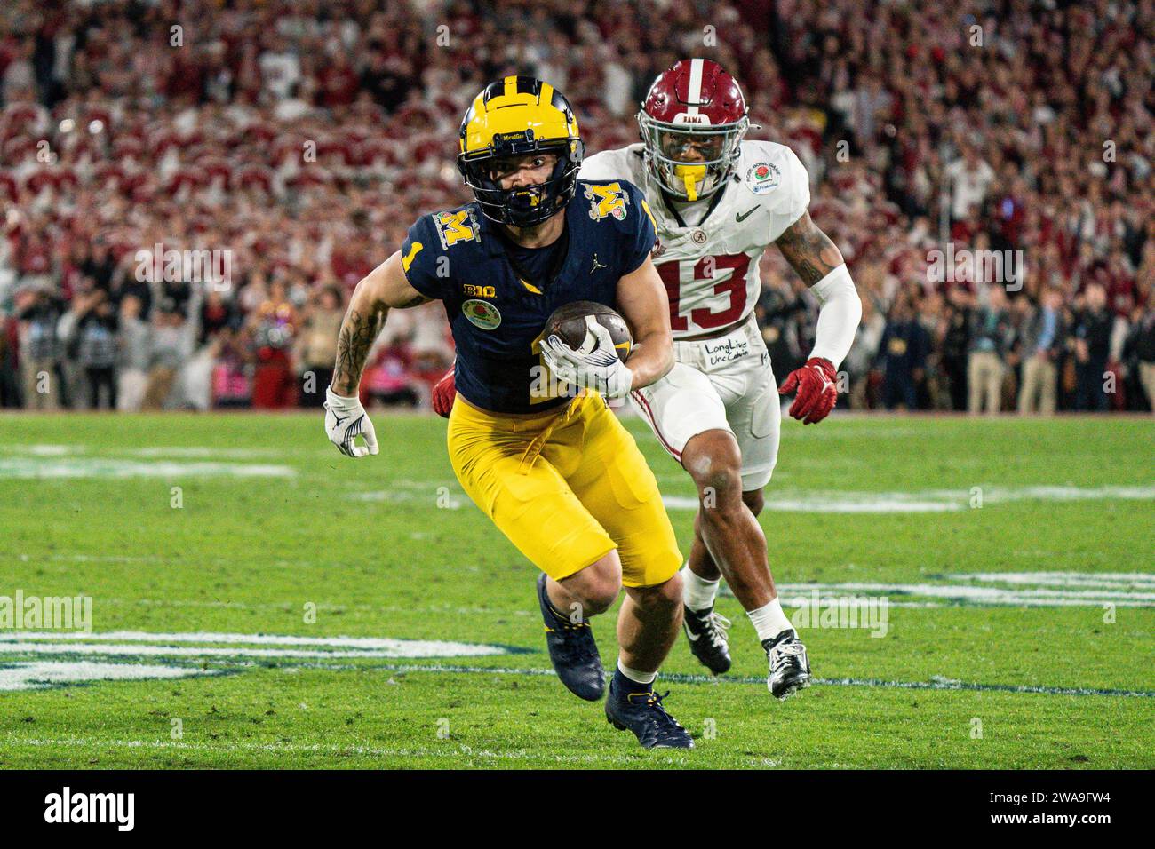 Roman wilson rose bowl hi-res stock photography and images - Alamy