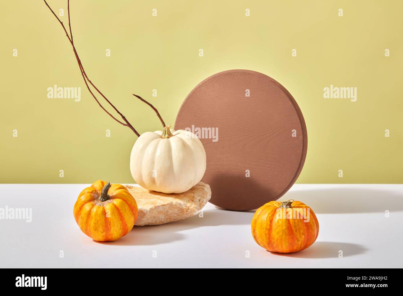 Some pumpkins decorated with a block of stone and brown podium in round ...