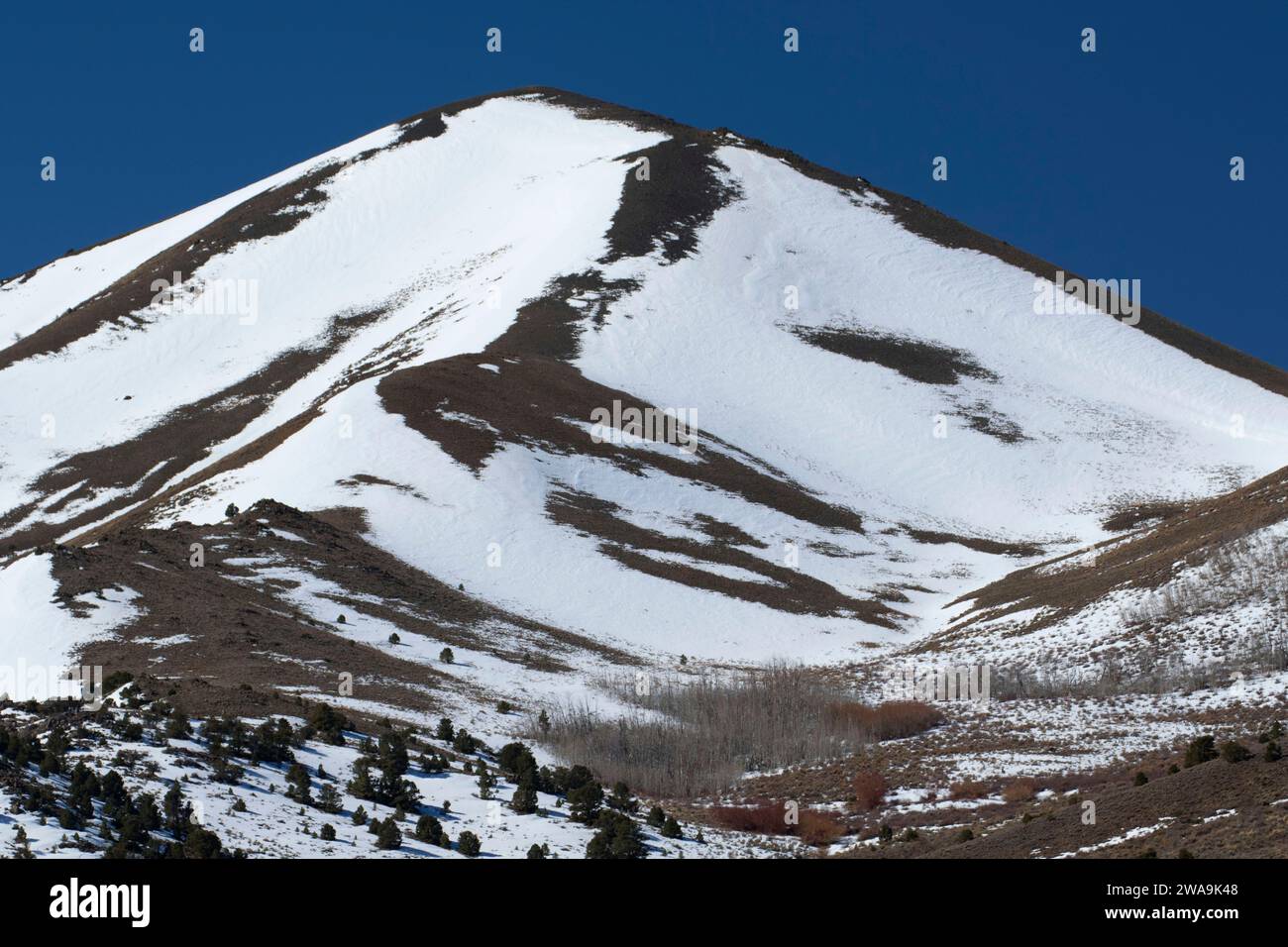 Toiyabe Range, Humboldt-Toiyabe National Forest, Nevada Stock Photo - Alamy