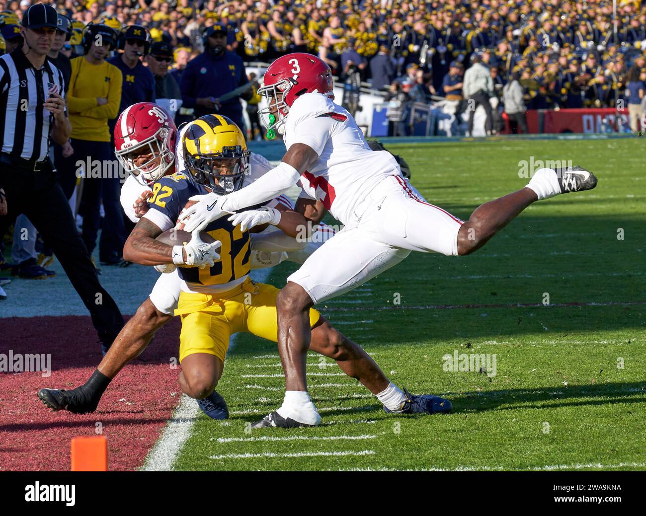 Morgan jay rose hi-res stock photography and images - Alamy