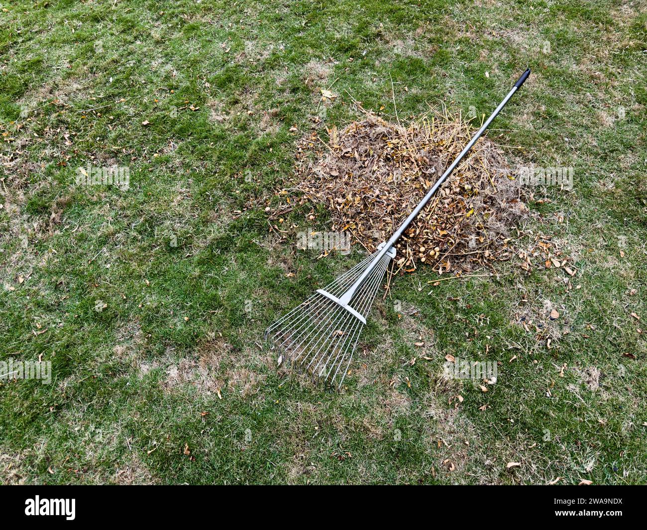 Metal leaf rack on top of a pile of dry leaves fallen from tress in the ...