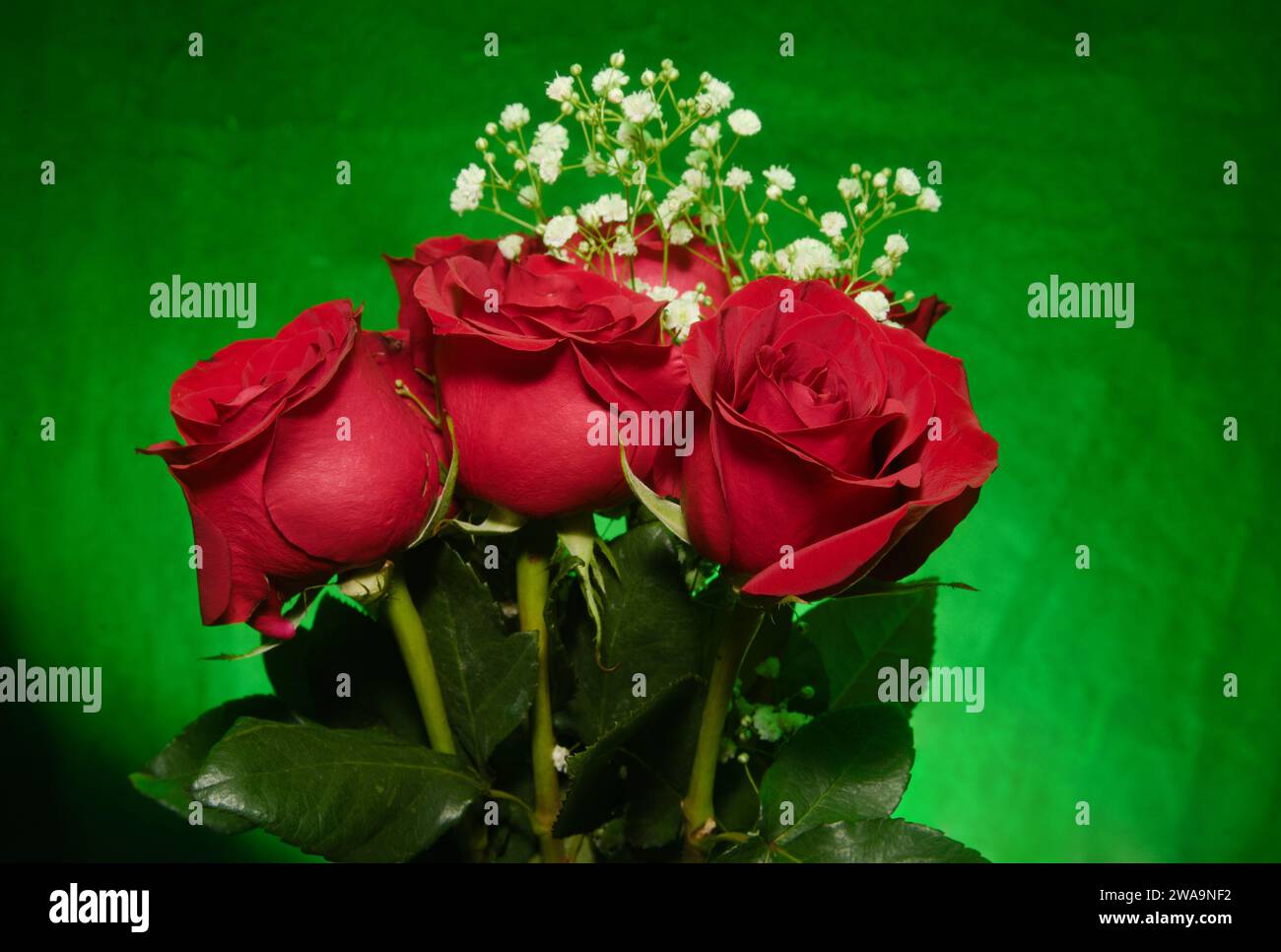 Bouquet of radiant red roses against red black ground. Speaks volumes ...