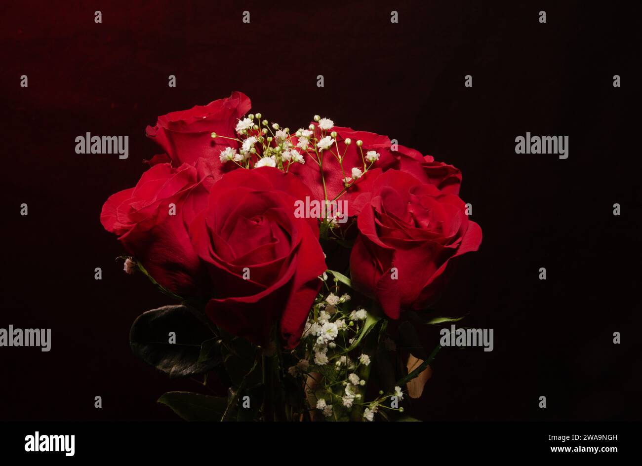 Bouquet of radiant red roses against red black ground. Speaks volumes ...