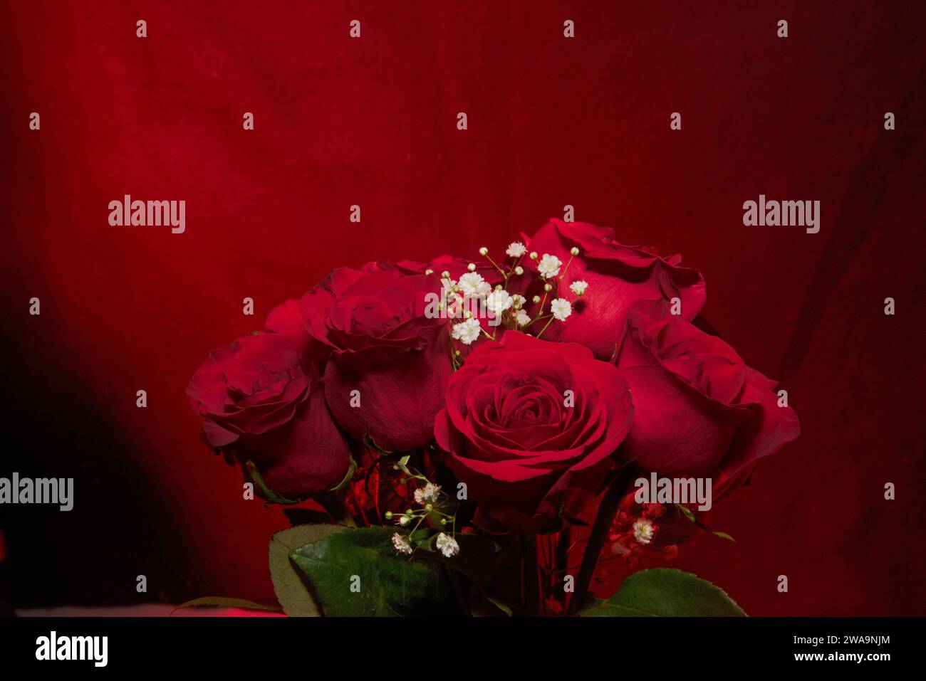Bouquet of radiant red roses against red black ground. Speaks volumes ...