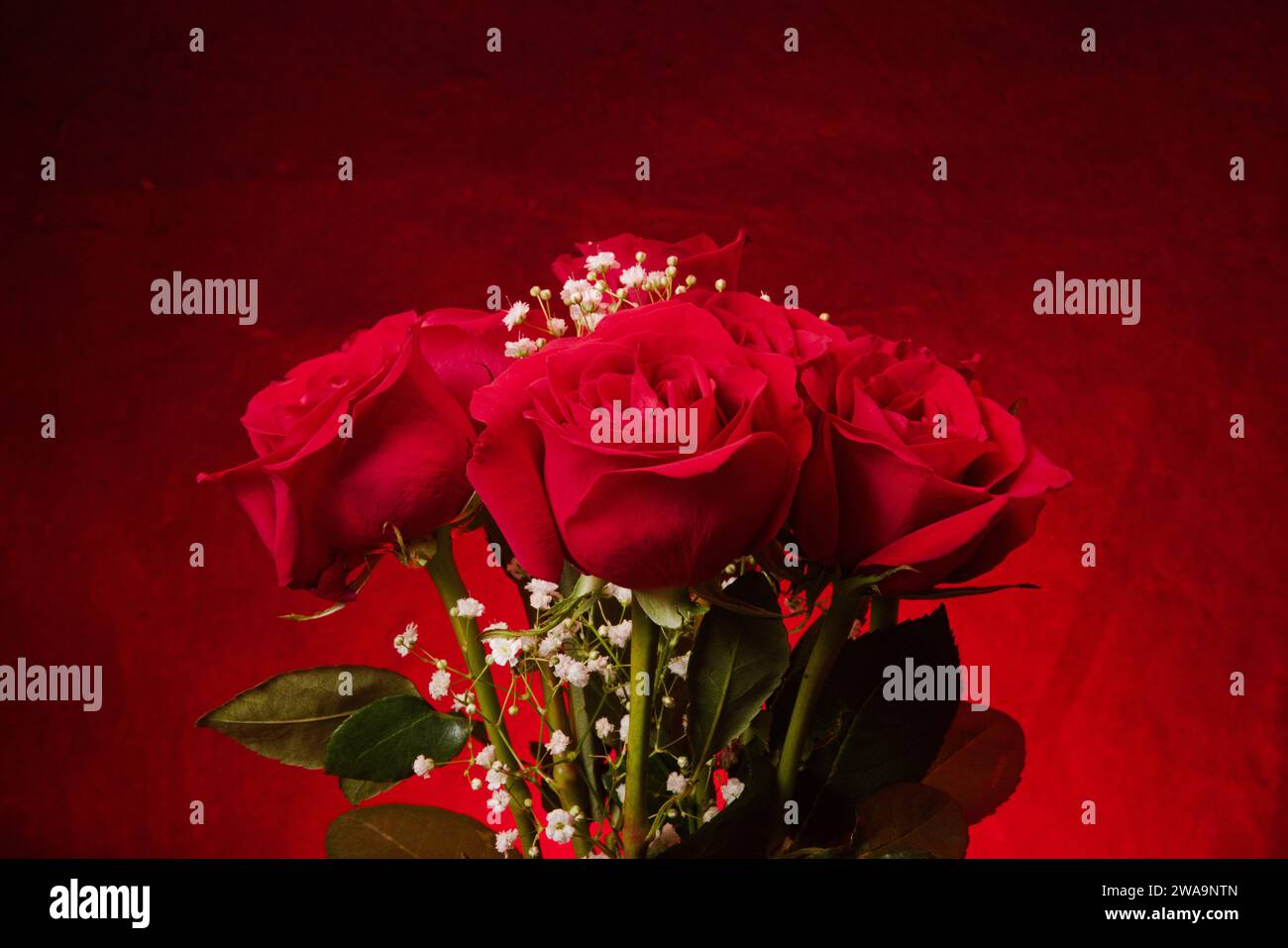 Bouquet of radiant red roses against red black ground. Speaks volumes ...