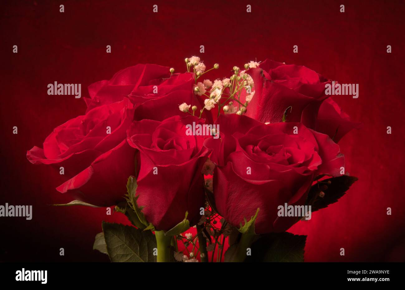 Bouquet of radiant red roses against red black ground. Speaks volumes ...