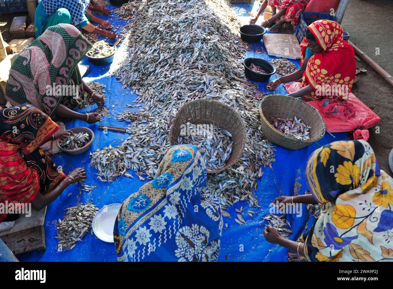 Lama kazi hi-res stock photography and images - Alamy