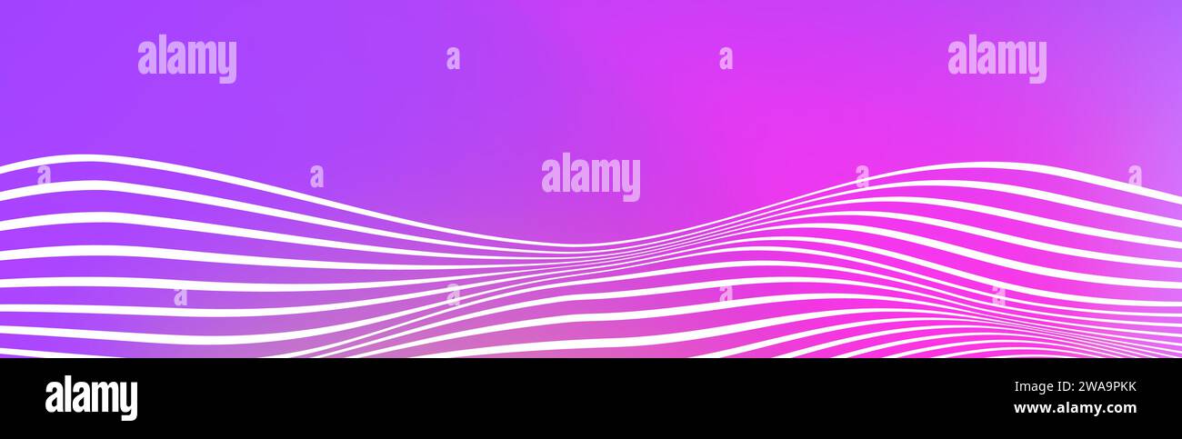 Abstract white wave lines on pink purple gradient background. Wide ...