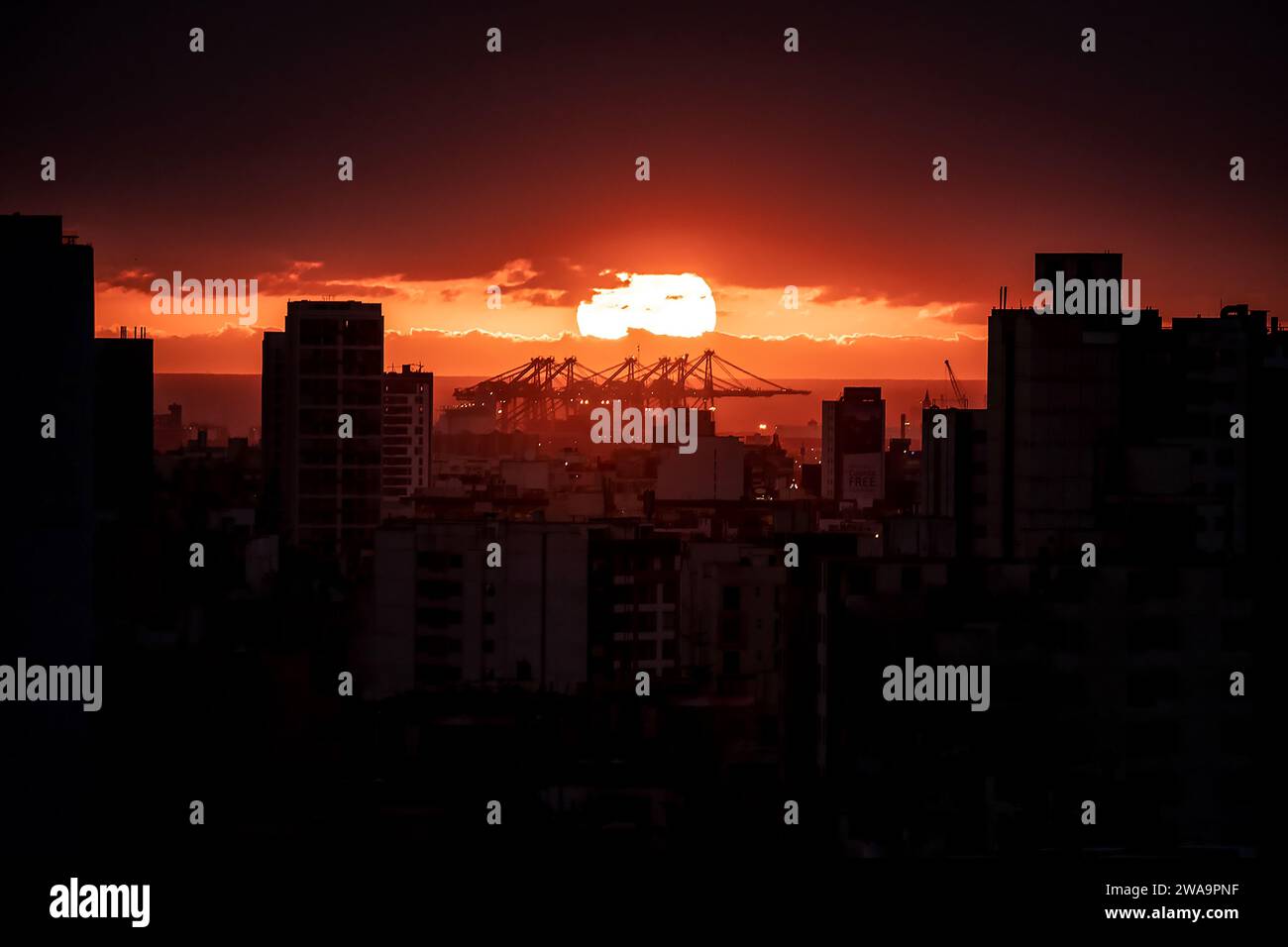 Condor in Colca Canyon Peru Stock Photo - Alamy