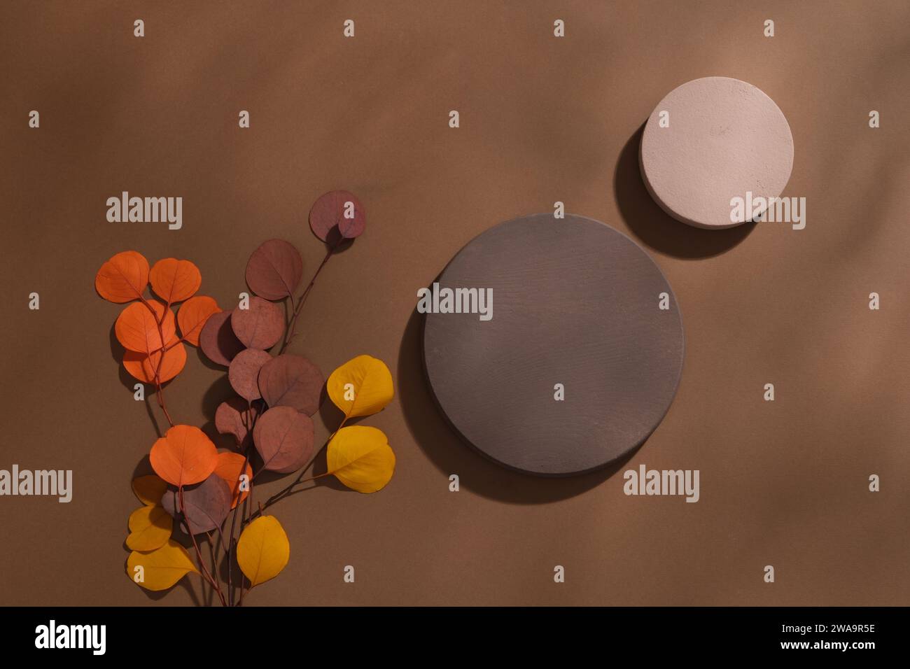 View from above of round-shaped podiums and some dried leaves ...