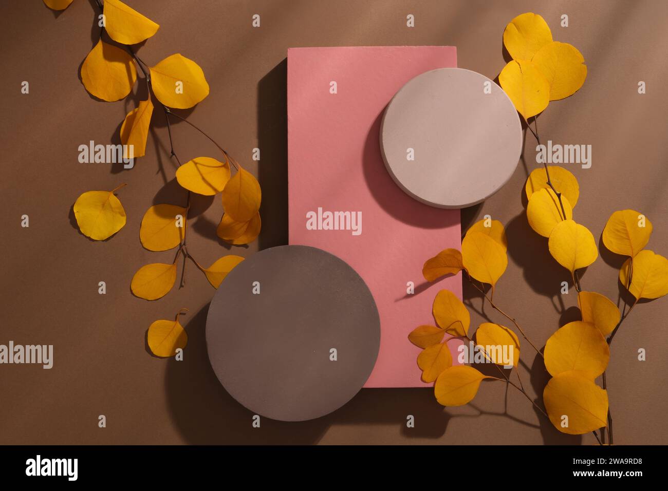 Round podiums hi-res stock photography and images - Alamy