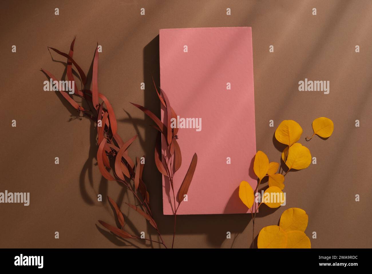 Pink platform in rectangle shaped decorated with leaf branches. Vacant ...