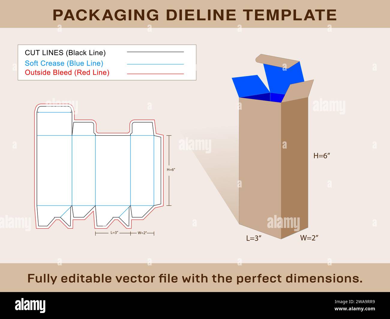 Auto Lock Box And Box Die line Template, Vector File Stock Vector Image ...