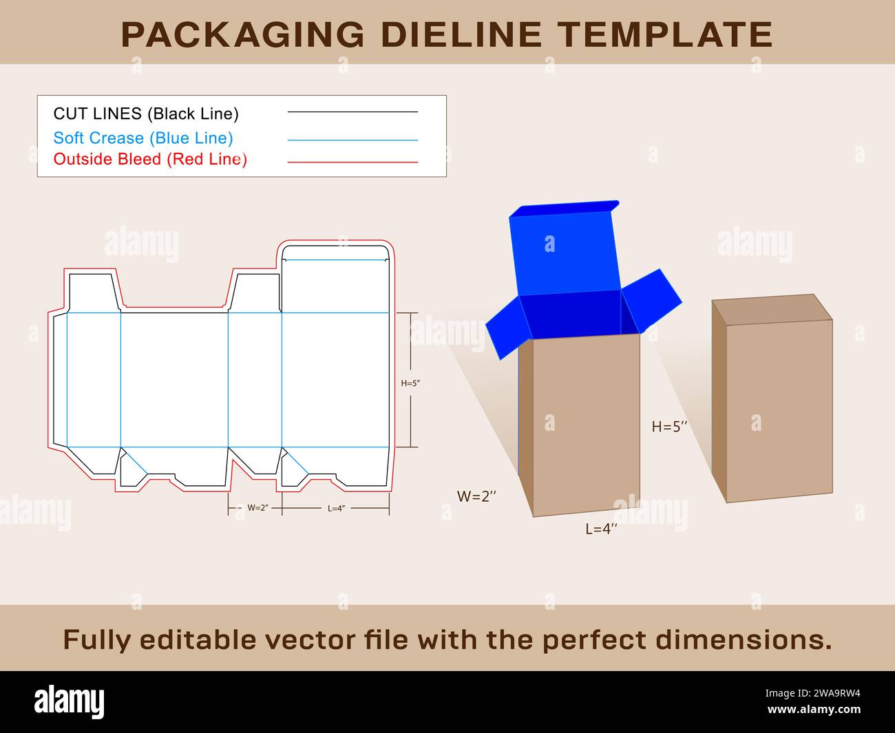 Auto Lock Box, Storage Box, Gift Box Dieline Template, Vector File ...