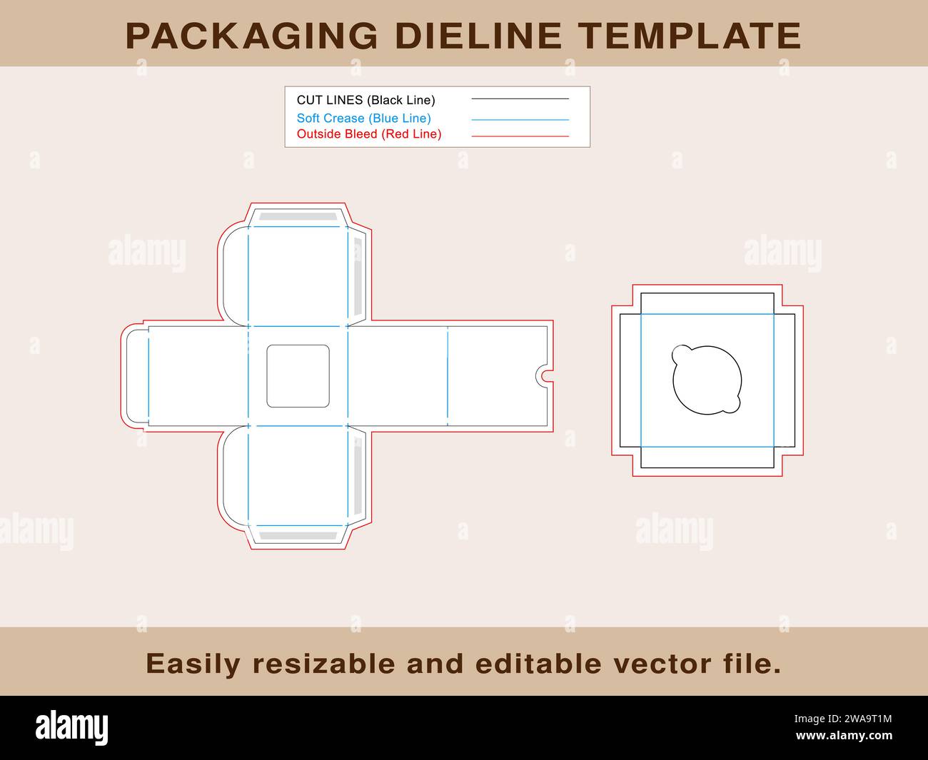 Cupcake Box, Square Display Box DielineTemplate Editable Vector File ...