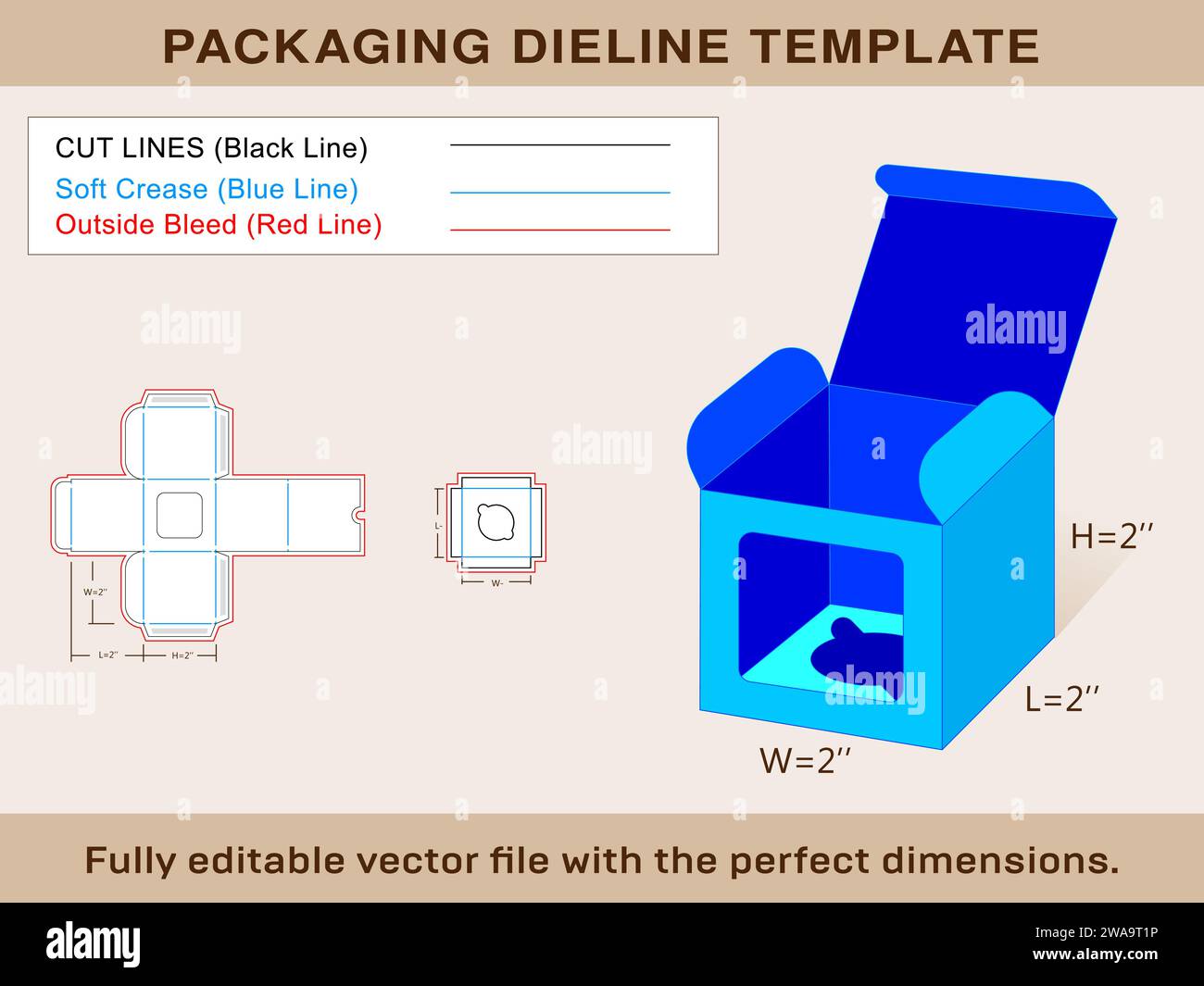 Cupcake Box, Square Display Box DielineTemplate Editable Vector File ...